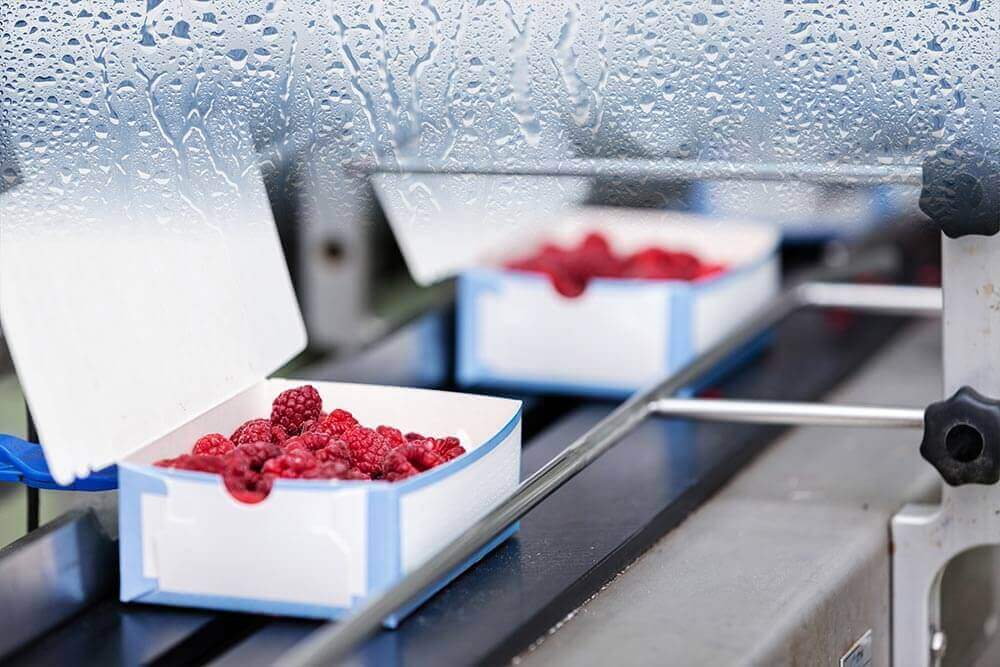 Small droplets in food-processing plants, solutions and cleaning